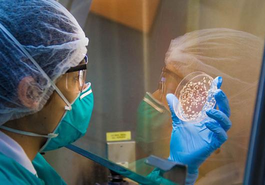 Which Strains of Tuberculosis Are the Most Infectious? | Harvard Medical School